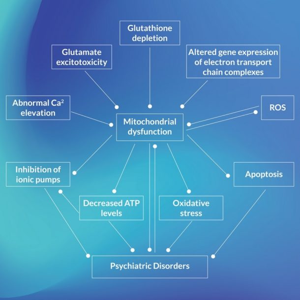 Mitochondrial Dysfunction and Chronic Disease - DrJockers.com