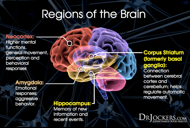 7 Ways Magnesium Improves Brain Health - DrJockers.com