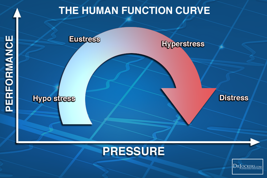 10 Critical Ketogenic Diet Tips