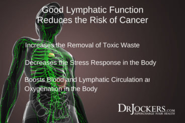 10 Ways to Improve Your Lymphatic System - DrJockers.com