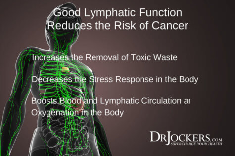 10 Ways to Improve Your Lymphatic System - DrJockers.com