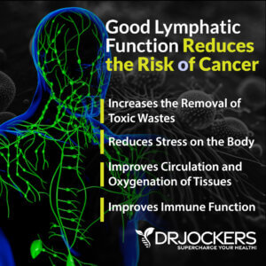 10 Ways to Improve Your Lymphatic System - DrJockers.com