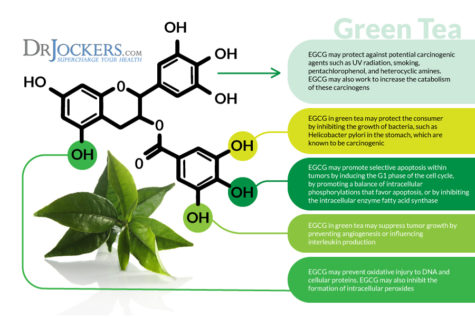 Top 10 Health Benefits of Green Tea - DrJockers.com