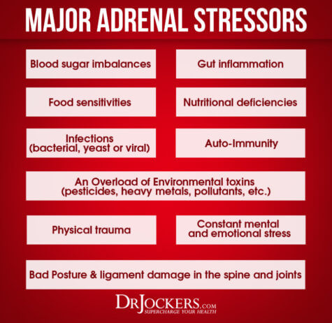 The 7 Key Phases of Adrenal Fatigue - DrJockers.com