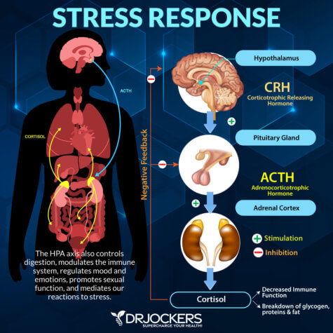 Morning Fatigue: Causes and 7 Steps to Enhance Energy