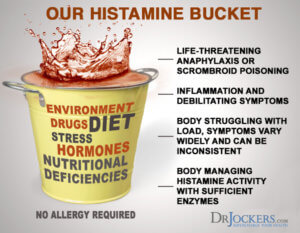 Are You Suffering From Histamine Intolerance? - DrJockers.com