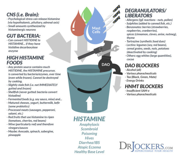 Are You Suffering From Histamine Intolerance? - DrJockers.com