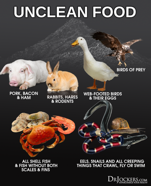 Why I Don't Eat Shellfish (Important!) - DrJockers.com