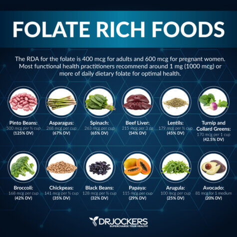 The 14 Best Folate Rich Foods to Consume - DrJockers.com