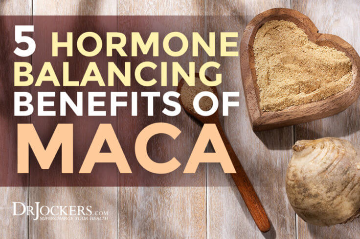 5 Hormone Balancing Benefits of Maca - DrJockers.com