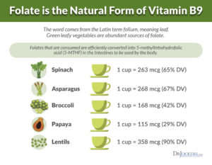 The 14 Best Folate Rich Foods to Consume - DrJockers.com