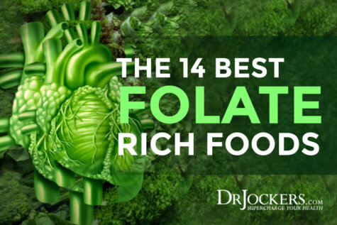 The 14 Best Folate Rich Foods to Consume - DrJockers.com