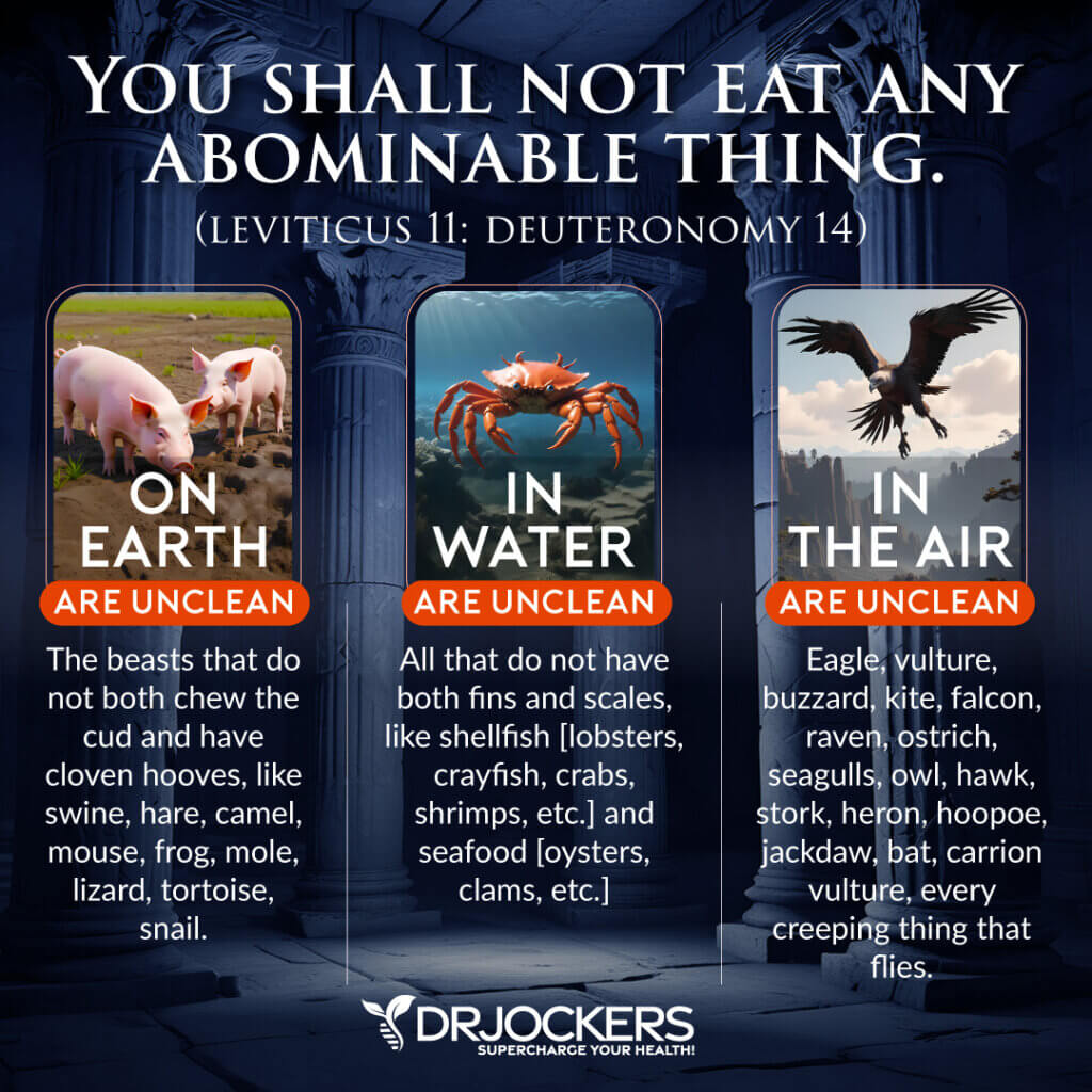 Biblical Nutrition: Top 13 Bible Foods and Their Health Benefits