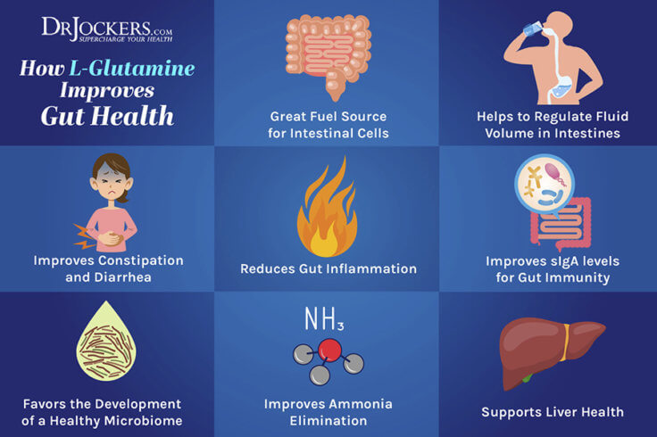 The Top 10 Best Food Sources of Glutamine - DrJockers.com
