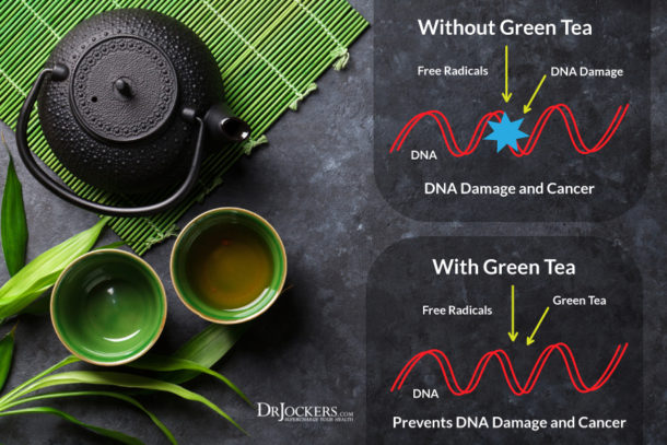 Top 10 Health Benefits of Green Tea - DrJockers.com