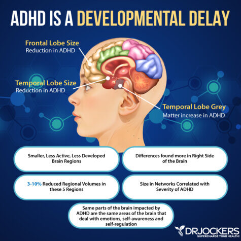 ADHD: Symptoms, Causes and Natural Support Strategies