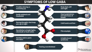 Is Your Brain Making Enough GABA? - DrJockers.com