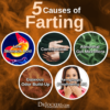 8 Ways to Reduce Gas and Farting for Good - DrJockers.com