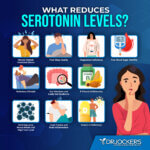 Do You Have Low Serotonin Levels? - DrJockers.com