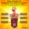 How Vitamin D Stops Cancer Stem Cells - DrJockers.com