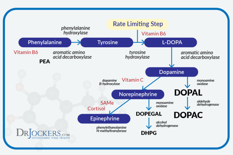 Boost Up Dopamine for Motivation and Focus - DrJockers.com