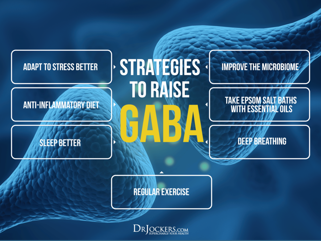 Is Your Brain Making Enough GABA? - DrJockers.com