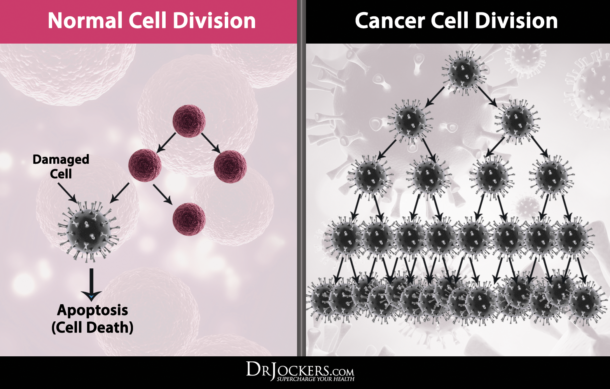 The Difference Between Normal and Cancer Cells - DrJockers.com