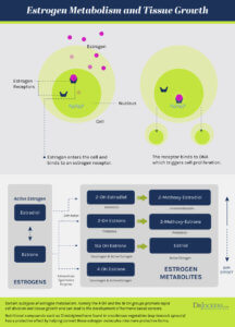 Breast Cancer: Causes, Symptoms and Natural Support Strategies