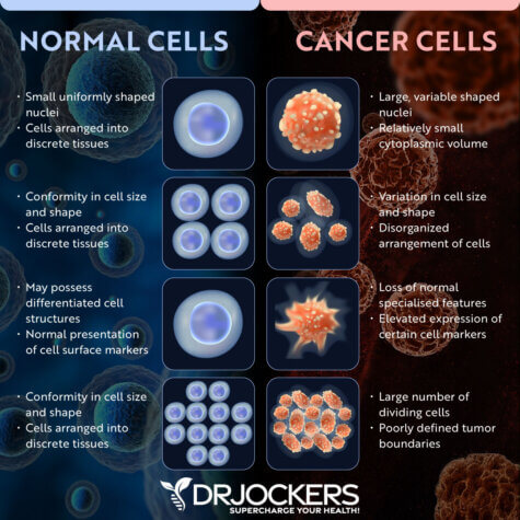 The Difference Between Normal and Cancer Cells - DrJockers.com