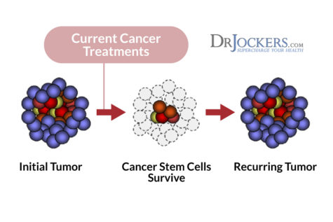 The Difference Between Normal and Cancer Cells - DrJockers.com