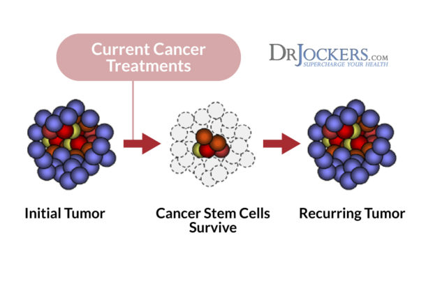 The Difference Between Normal and Cancer Cells - DrJockers.com