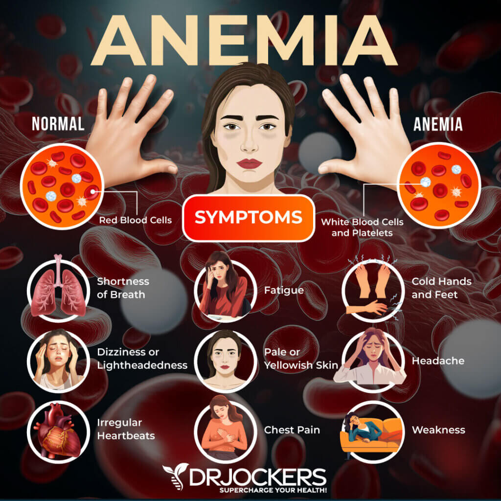 Anemia: Causes, Symptoms and Support Strategies - DrJockers.com