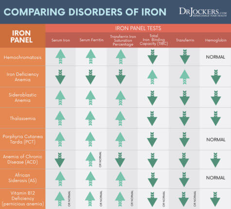 Anemia: Causes, Symptoms and Support Strategies - DrJockers.com