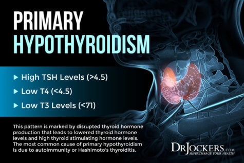 How to Properly Test Thyroid Function with Labs - DrJockers.com