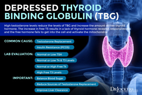 How to Properly Test Thyroid Function with Labs - DrJockers.com