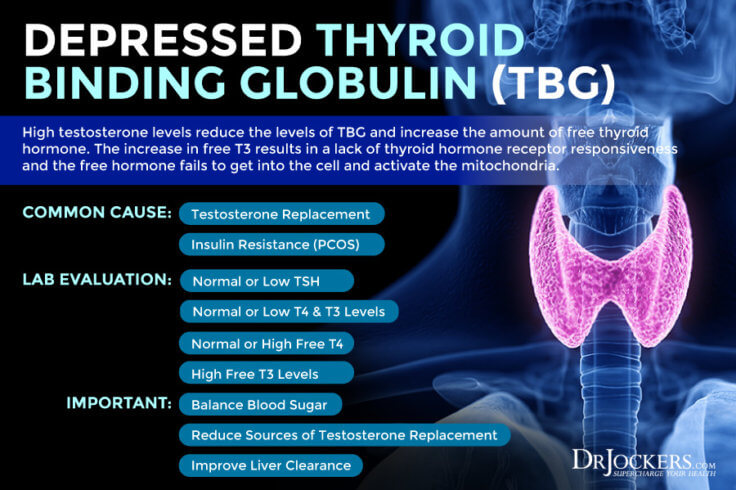 How to Properly Test Thyroid Function with Labs - DrJockers.com