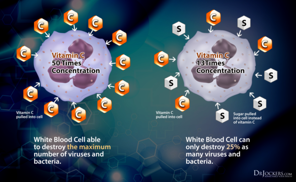 5 Ways to Increase Vitamin C Levels (#4 is Powerful) - DrJockers.com