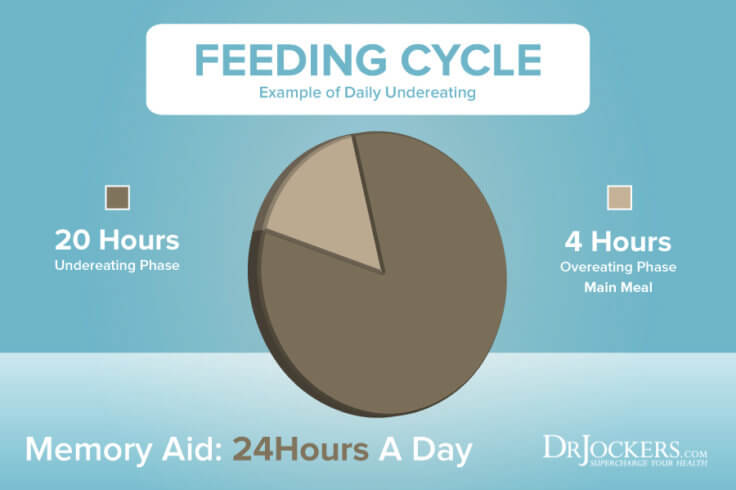 High Energy Nutrition Principles to Follow - DrJockers.com