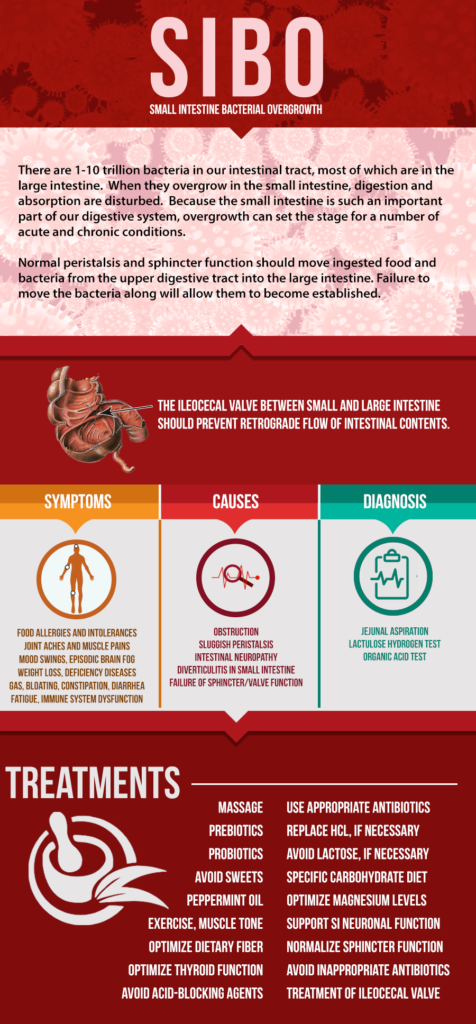 SIBO: Symptoms, Causes and Natural Support Strategies