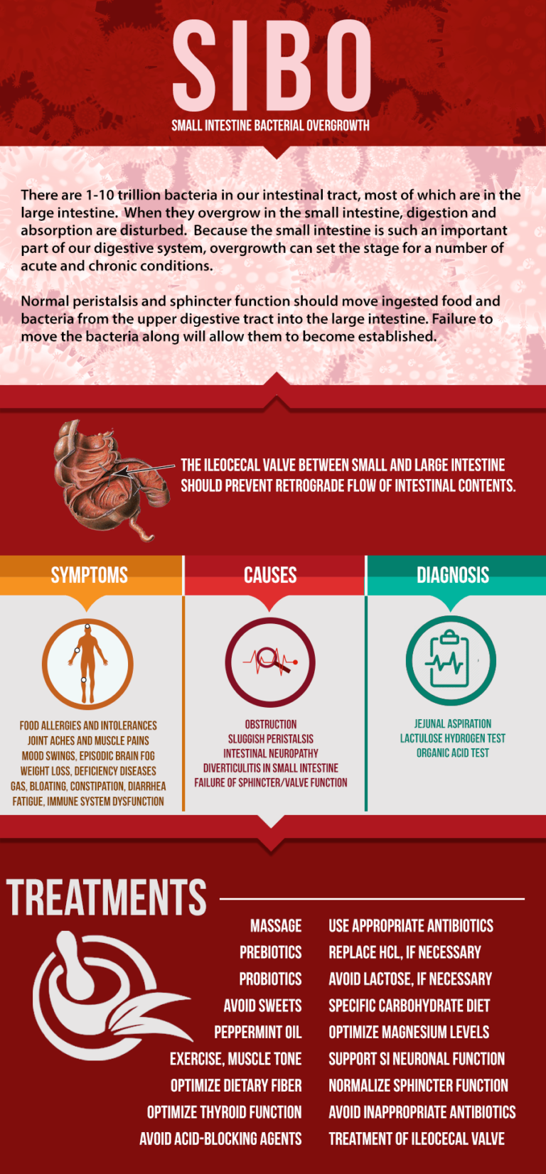 The Benefits Of Ileocecal Valve Massage