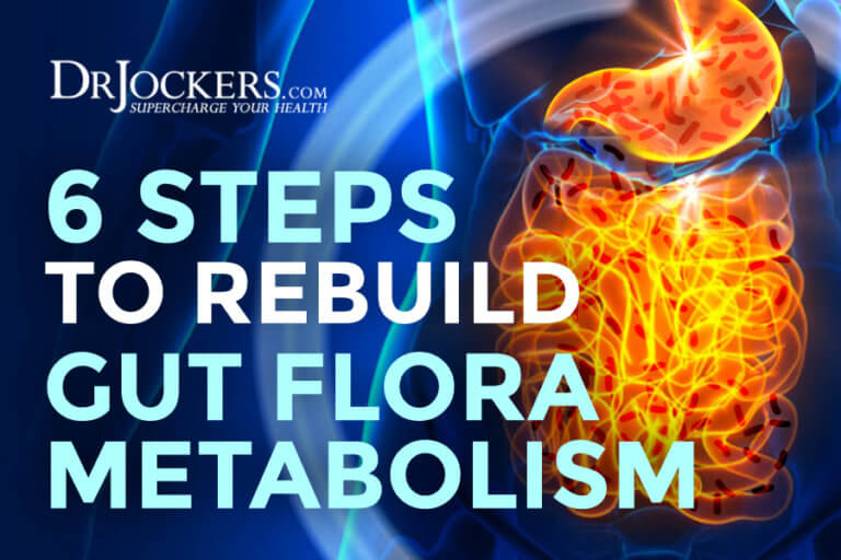 6 Steps to Rebuild Gut Flora Metabolism - DrJockers.com