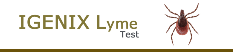 Lyme Disease: Symptoms, Causes and Natural Support Strategies