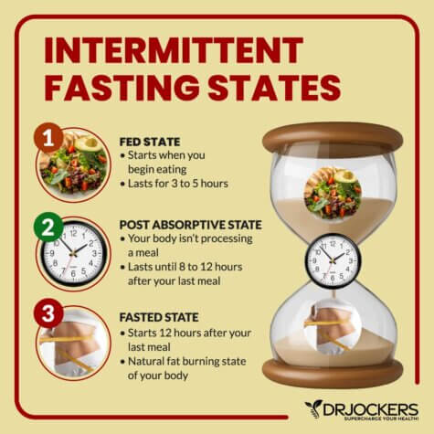 Best Intermittent Fasting Strategies & How to Fast - DrJockers.com