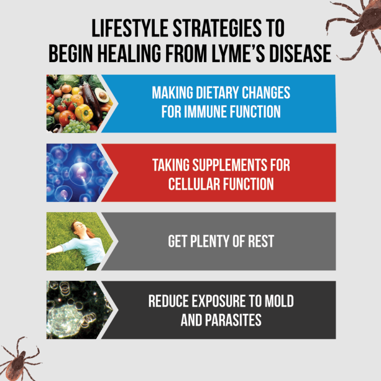 Lyme Disease: Symptoms, Causes and Natural Support Strategies