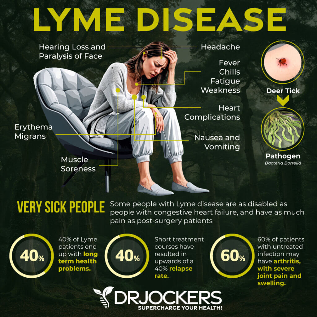 Lyme Coinfections: Common Signs & Symptoms - Sky Forbes