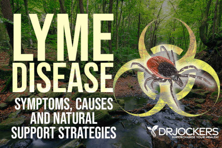 Lyme Disease: Symptoms, Causes and Natural Support Strategies