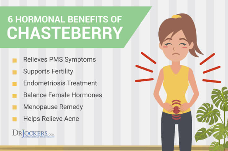 6 Benefits Of Chasteberry For PMS - DrJockers.com