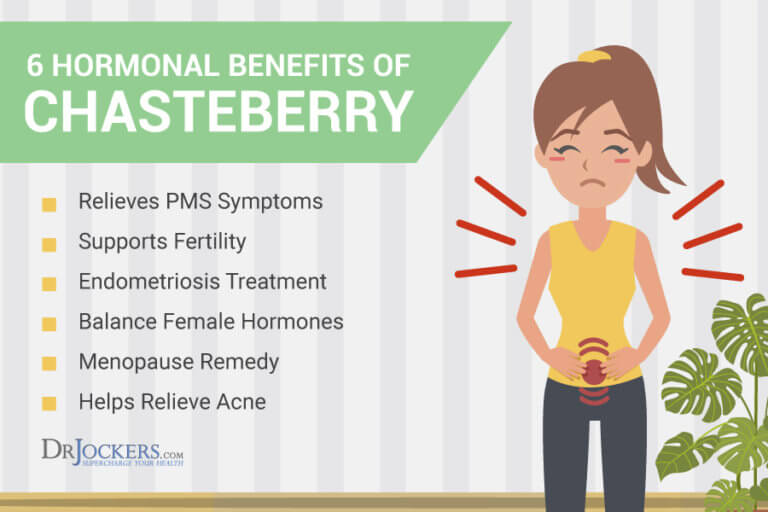 6 Benefits Of Chasteberry For PMS - DrJockers.com