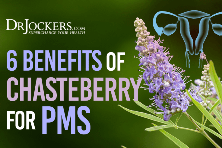 6 Benefits Of Chasteberry For PMS - DrJockers.com