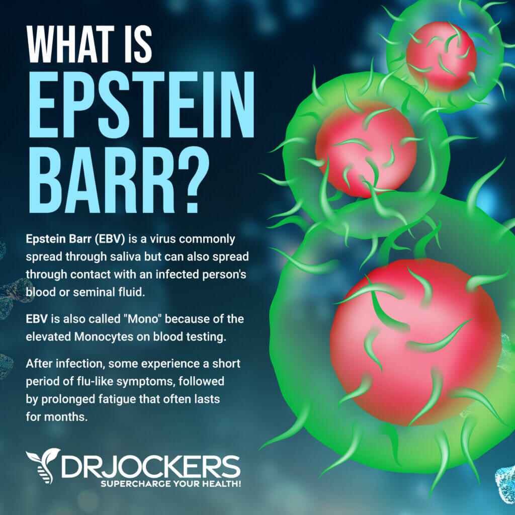 Epstein Barr Virus: Symptoms, Causes and Support Strategies